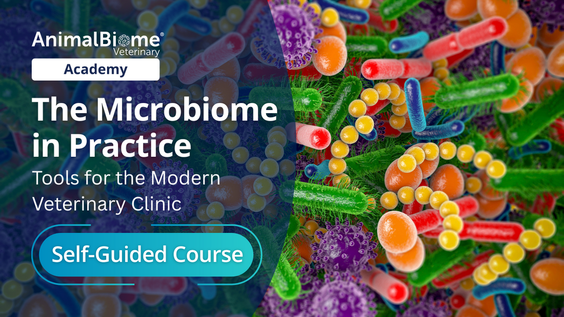 ABV-002 The Microbiome in Practice – AnimalBiome Veterinary