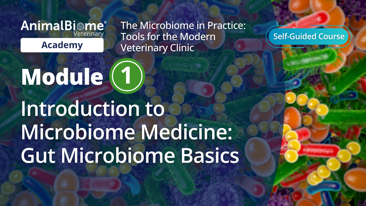 ABV-002 The Microbiome in Practice – AnimalBiome Veterinary