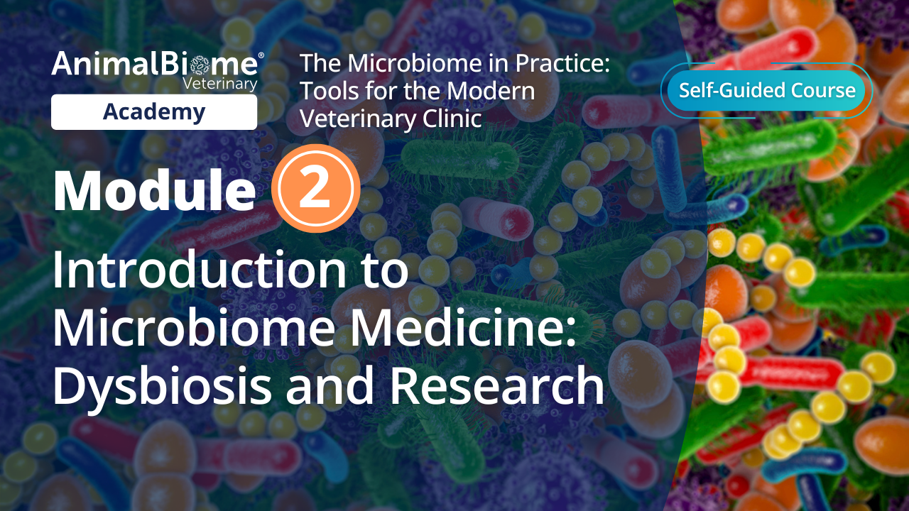 ABV-002 The Microbiome in Practice – AnimalBiome Veterinary